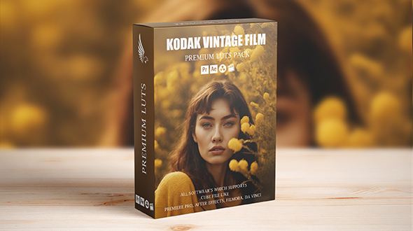 Vintage Kodak Aesthetics: Essential LUTs Bundle, Add Ons | VideoHive
